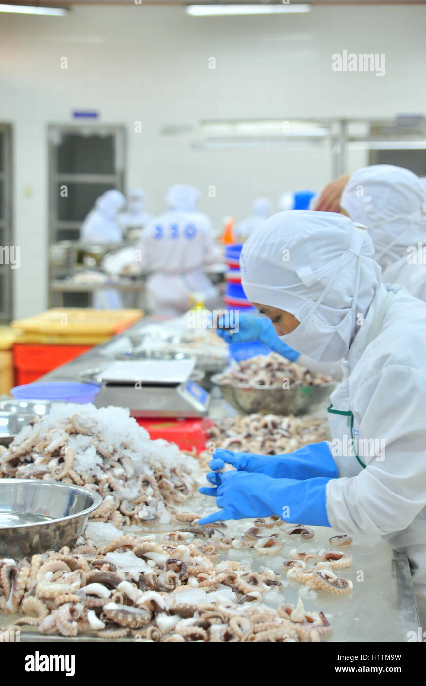 Vung Tau, Vietnam - December 9, 2014: Workers are classifying octopus ...
