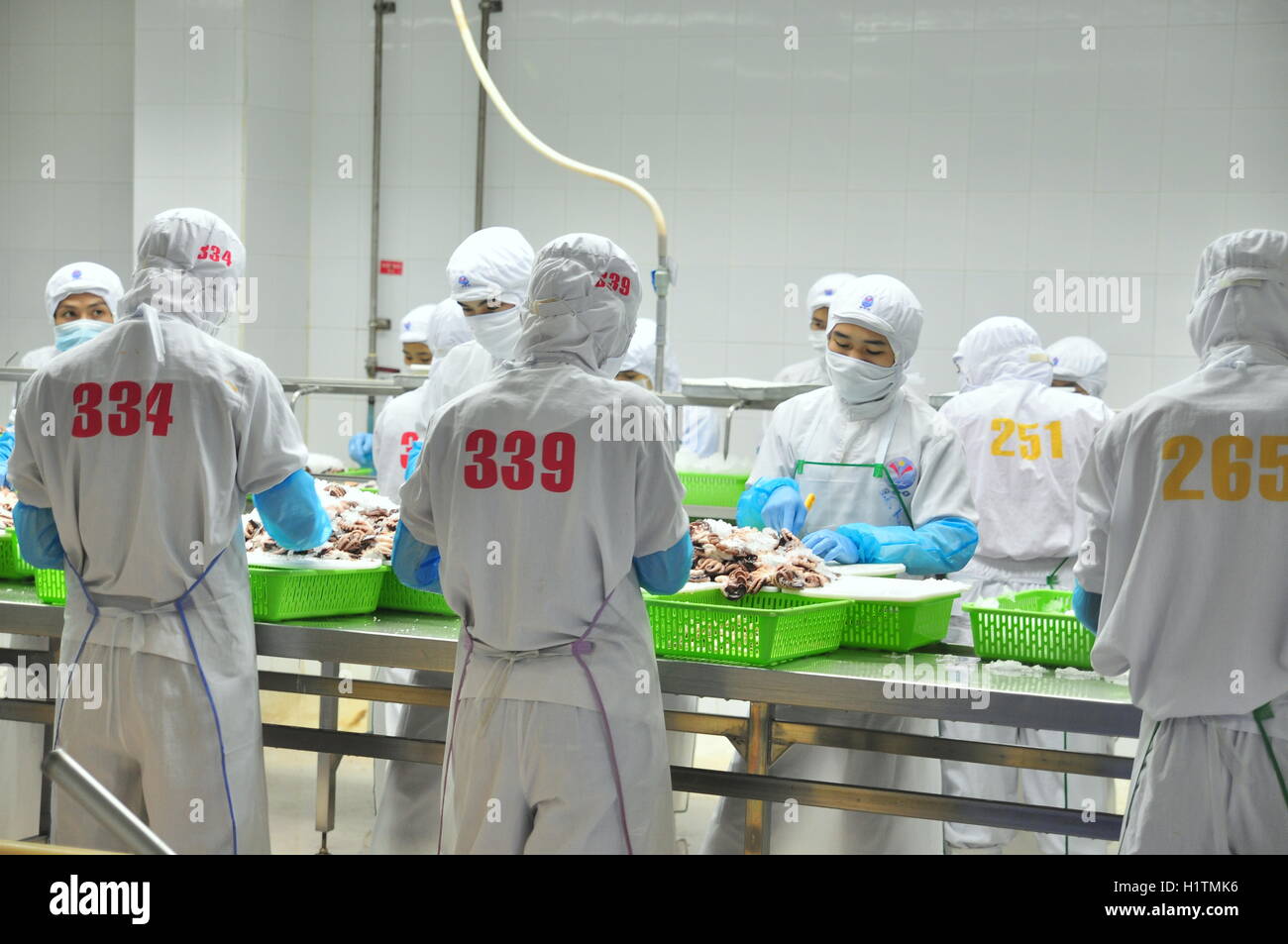 Vung Tau, Vietnam - December 9, 2014: Workers are classifying octopus ...