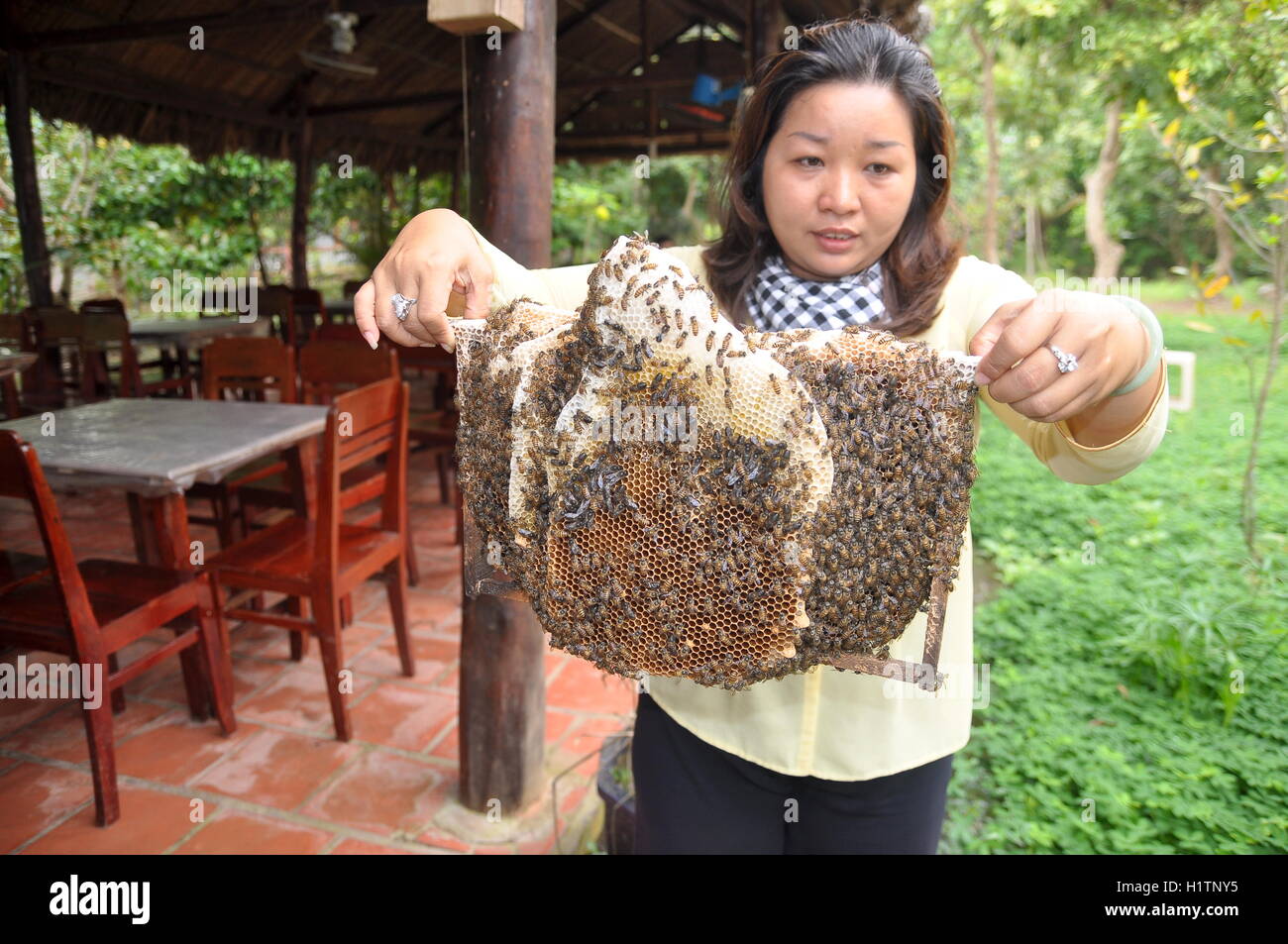 Ben Tre, Vietnam - January 1, 2014: A woman is showing her beekeepers ...