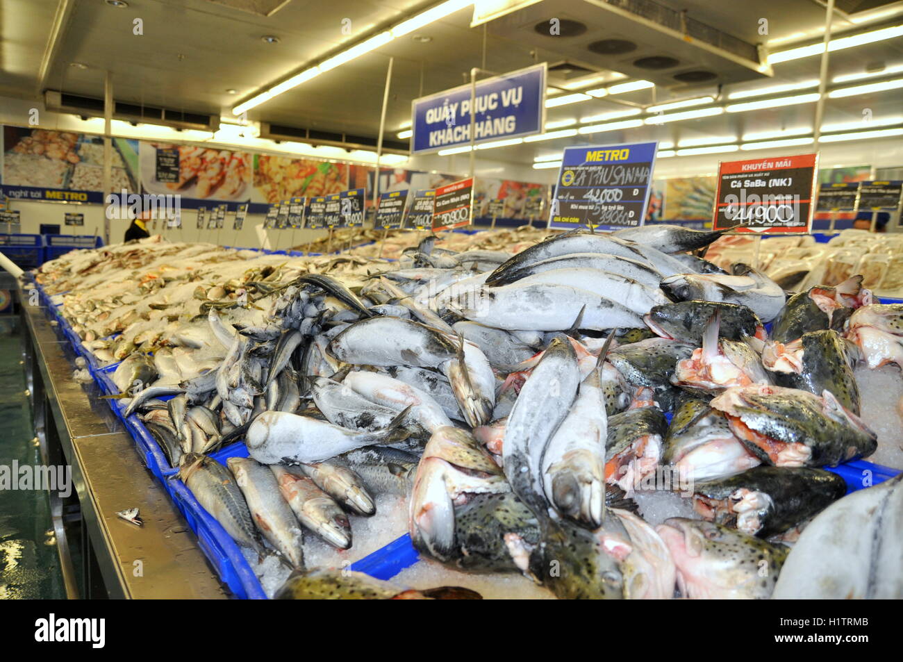 Ho Chi Minh city, Vietnam - October 8, 2013: Many kinds of fish are for ...