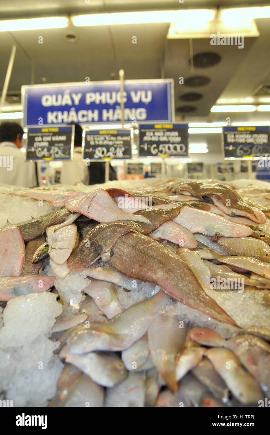 Ho Chi Minh city, Vietnam - October 8, 2013: Many kinds of fish are for ...