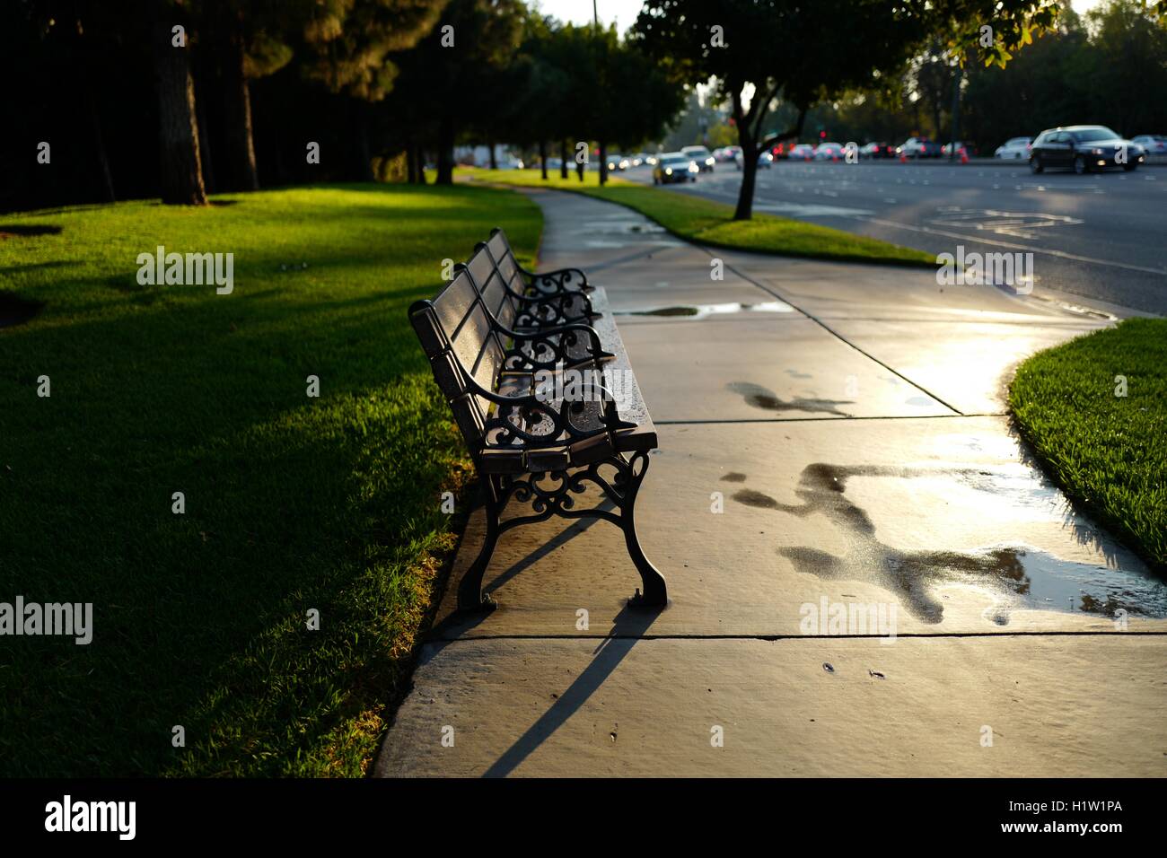 Public bench covered in morning dew beside a busy road at sunrise Stock ...