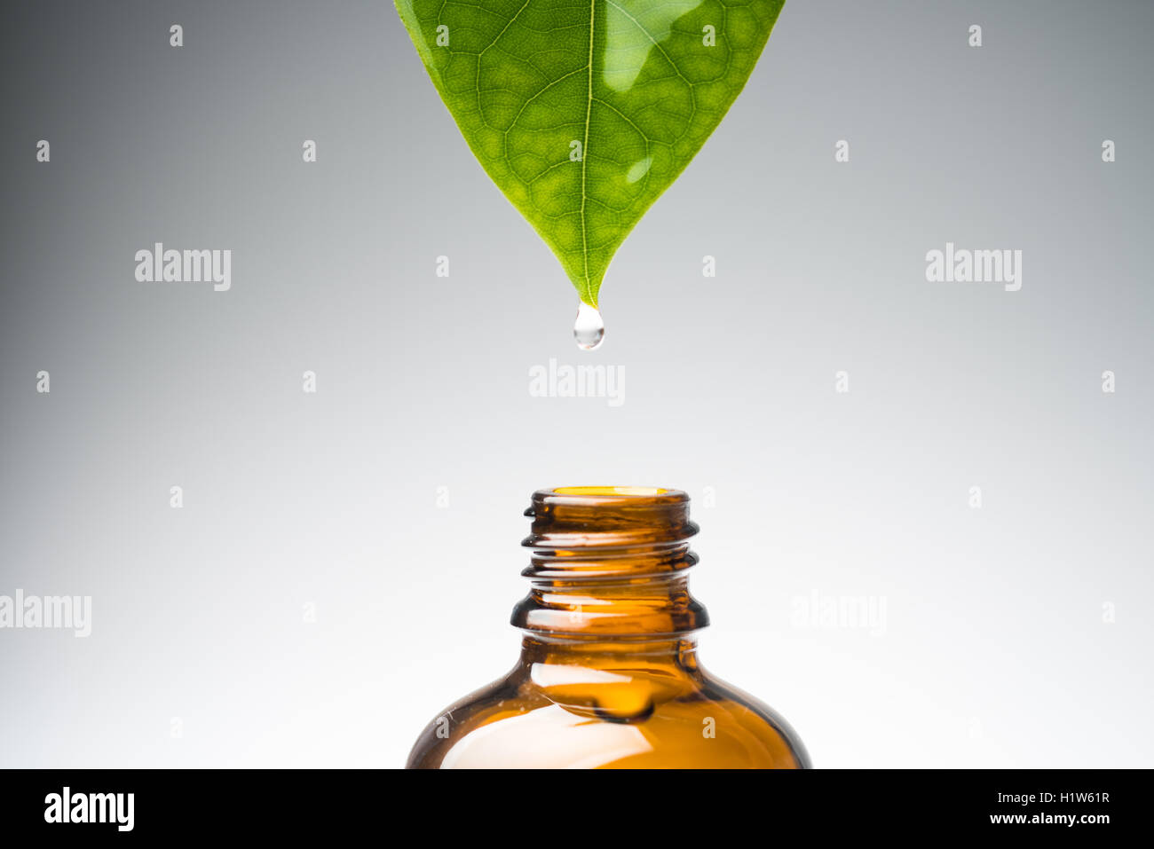 Water is essential for life hi-res stock photography and images - Alamy