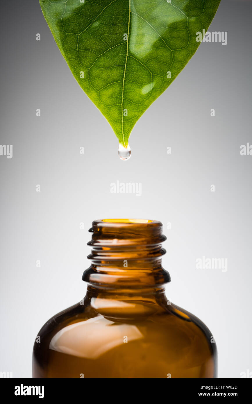 Essential oil drop hi-res stock photography and images - Alamy