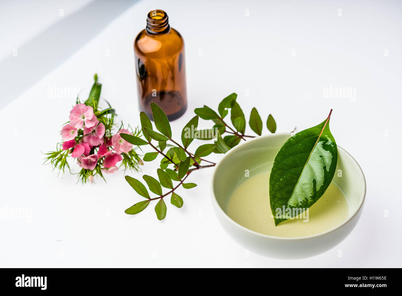 Water is essential for life hi-res stock photography and images - Alamy