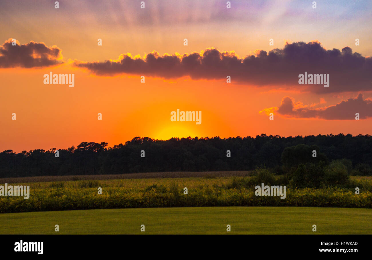 Late summer sunset Stock Photo - Alamy
