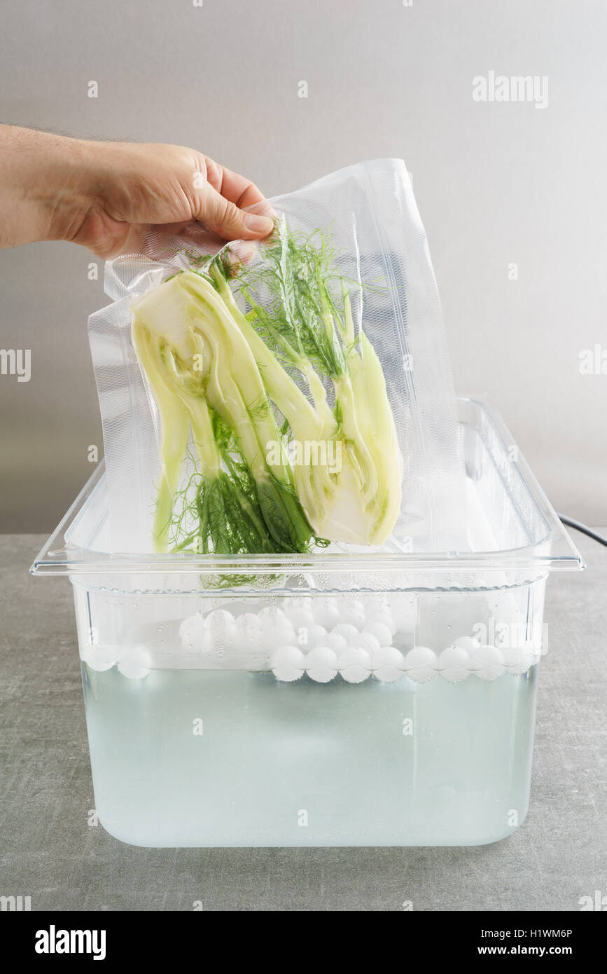 Sous vide cooking of fennel Stock Photo - Alamy