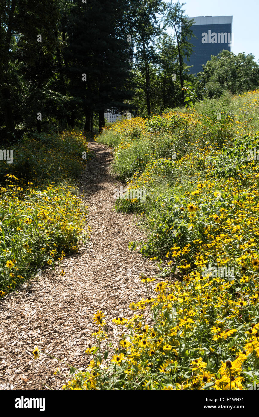Woodchip path hi-res stock photography and images - Alamy