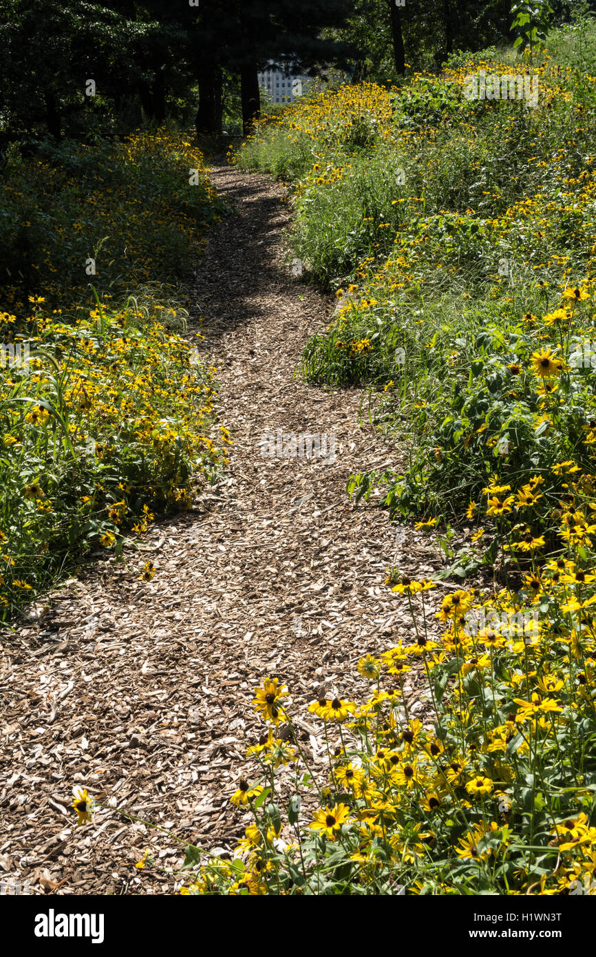 Woodchip Path in Central Park, NYC Stock Photo - Alamy