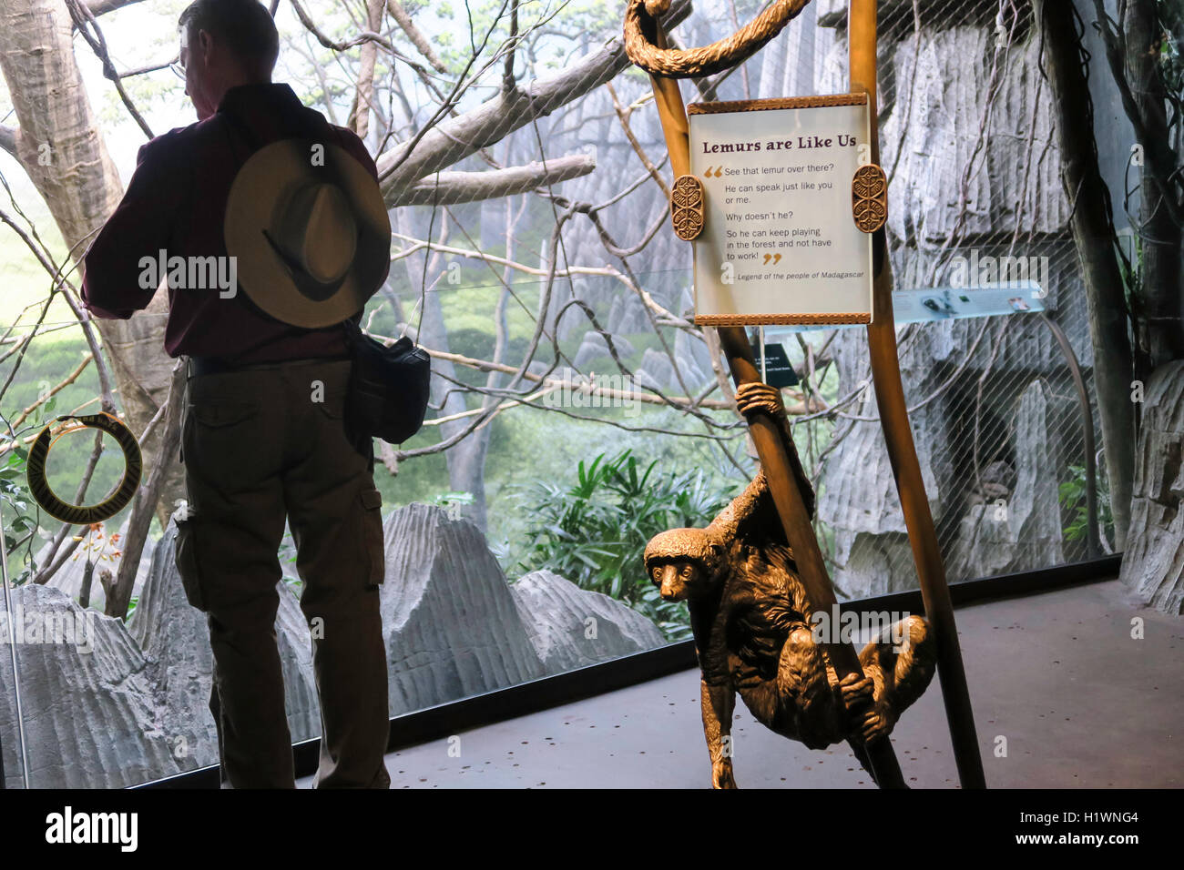 Madagascar Lemur Exhibit, The Bronx Zoo, Wildlife Conservation Society ...