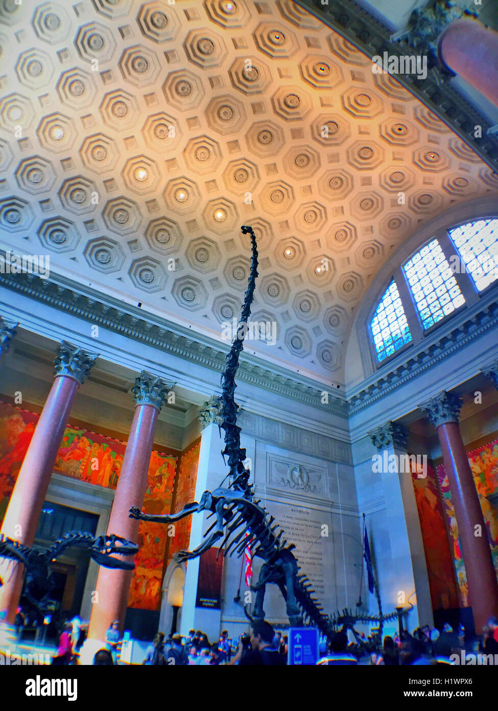 American Museum of Natural History, NYC Stock Photo - Alamy