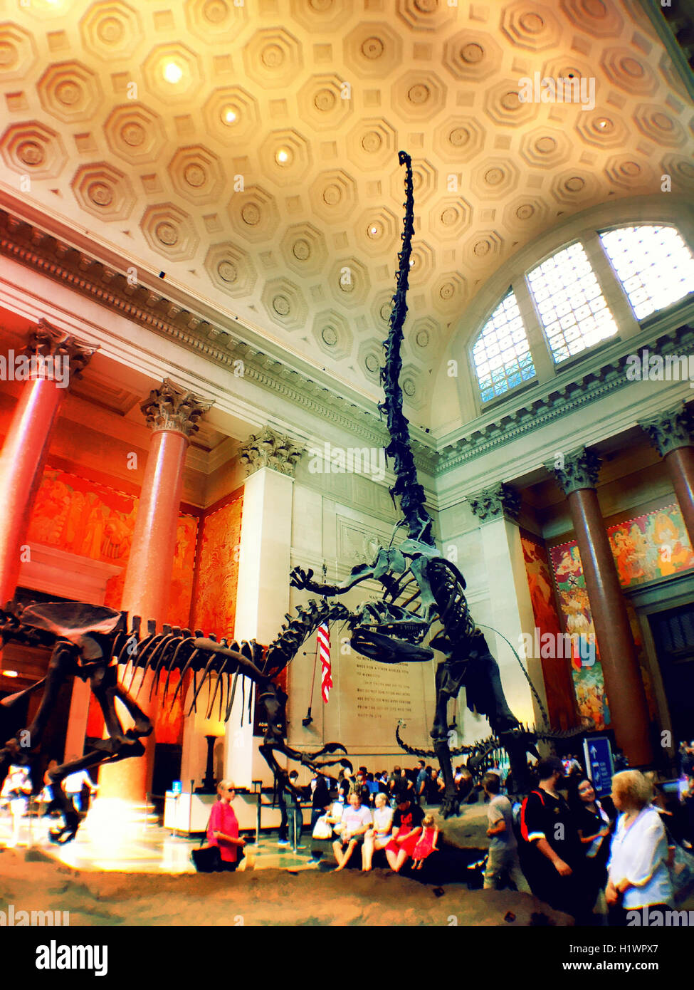American Museum of Natural History, NYC Stock Photo - Alamy