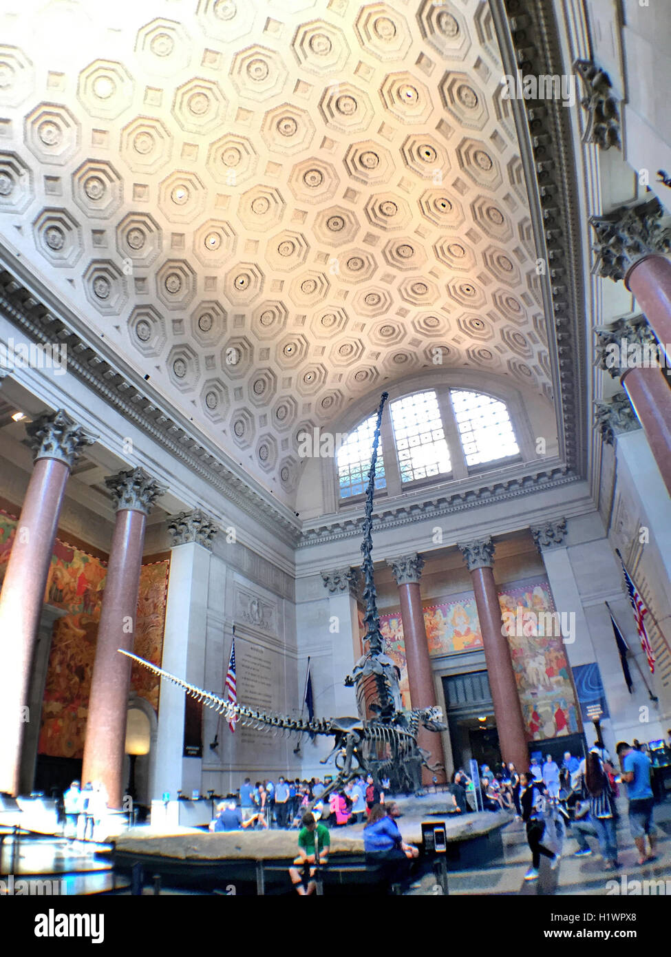 American Museum of Natural History, NYC Stock Photo - Alamy