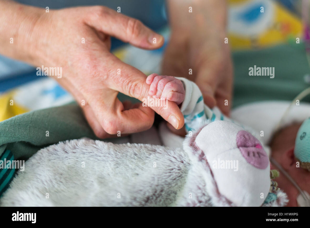 Premature baby hand hi-res stock photography and images - Alamy