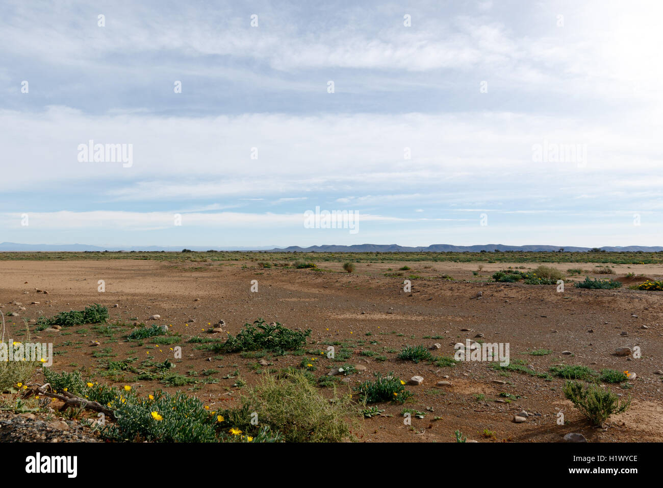 Empty Landcape with space with blue clouds in Tankwa Karoo Stock Photo ...