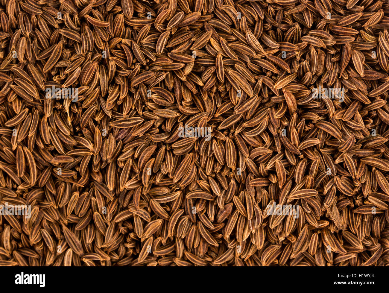 Cumin seeds background or texture Stock Photo - Alamy