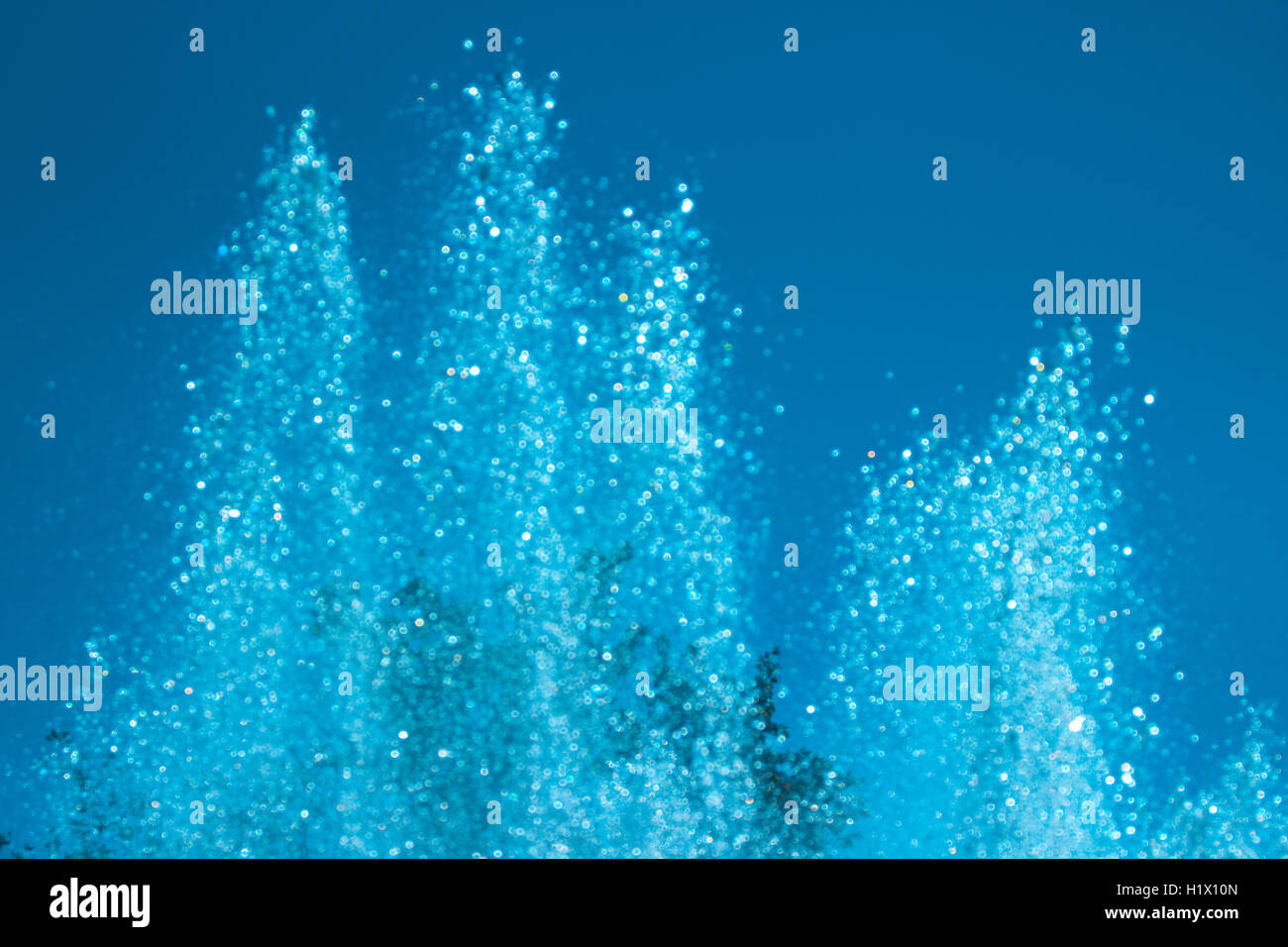 Stream transparent water reflections hi-res stock photography and ...