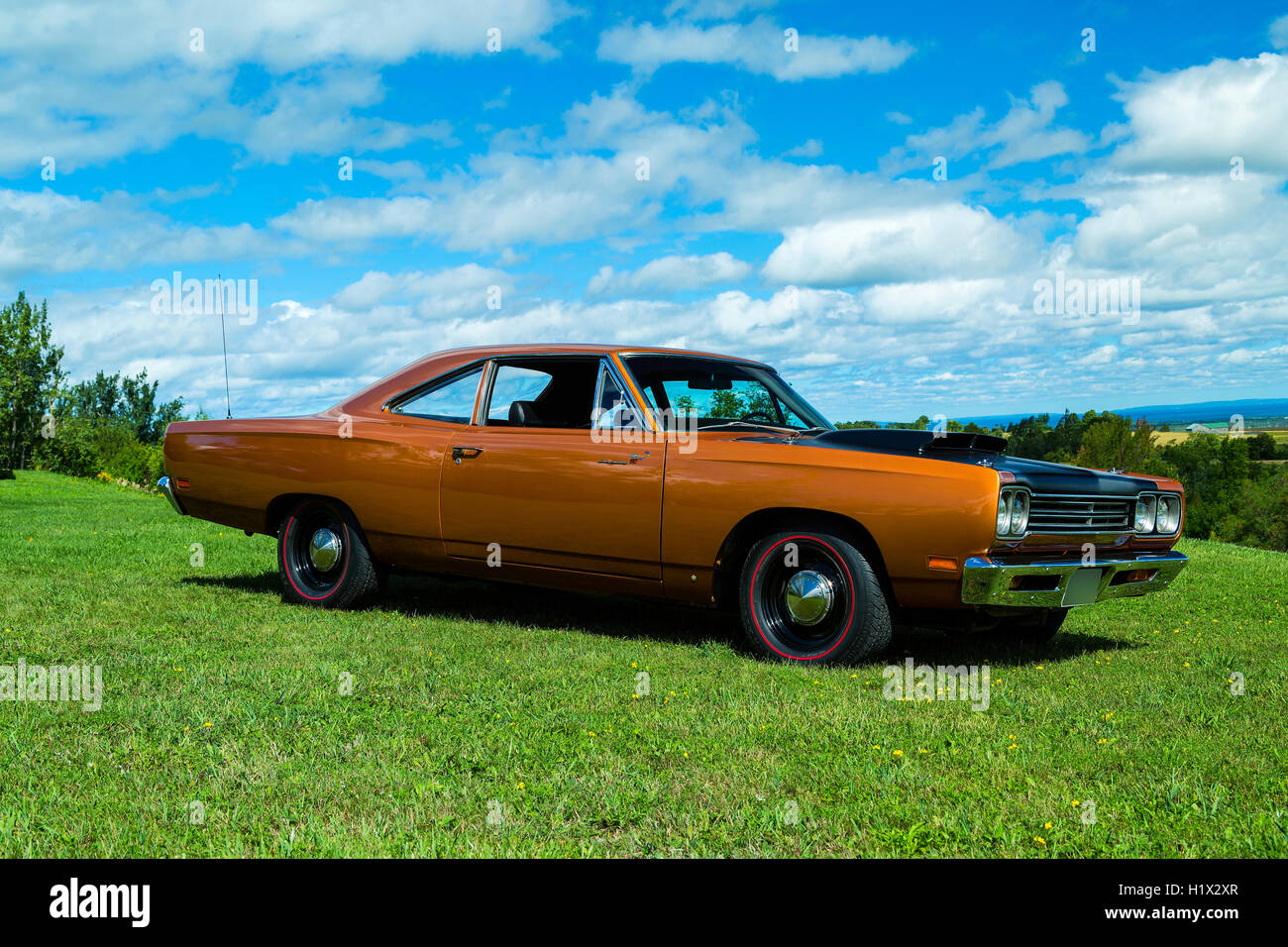 1969 plymouth road runner hi-res stock photography and images - Alamy