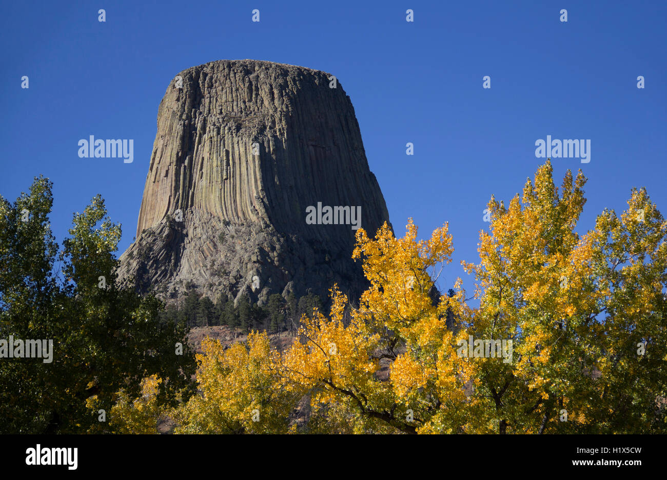 Devils tower rock formation hi-res stock photography and images - Alamy