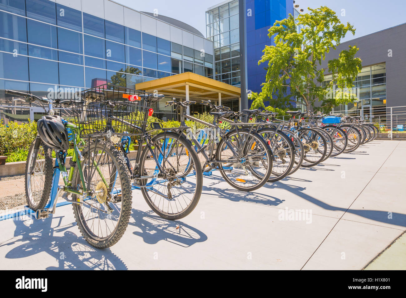Google bicycle campus Stock Photo - Alamy
