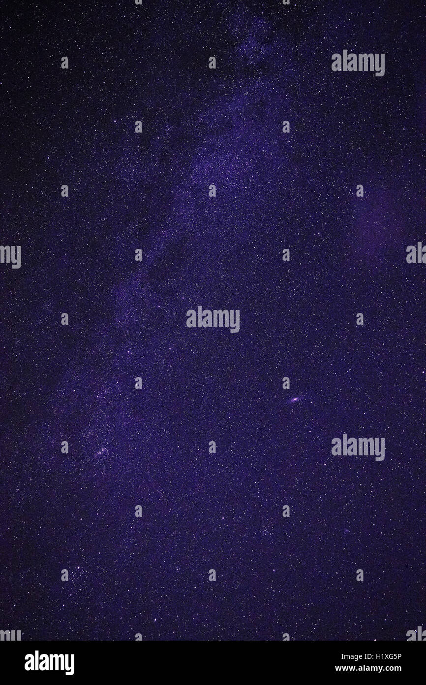 stars at night Stock Photo - Alamy