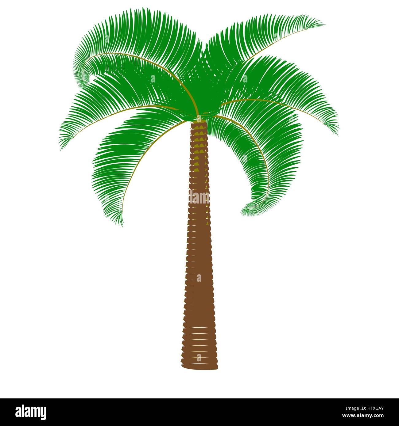 Vibrant green palm leaf Stock Vector Images - Alamy