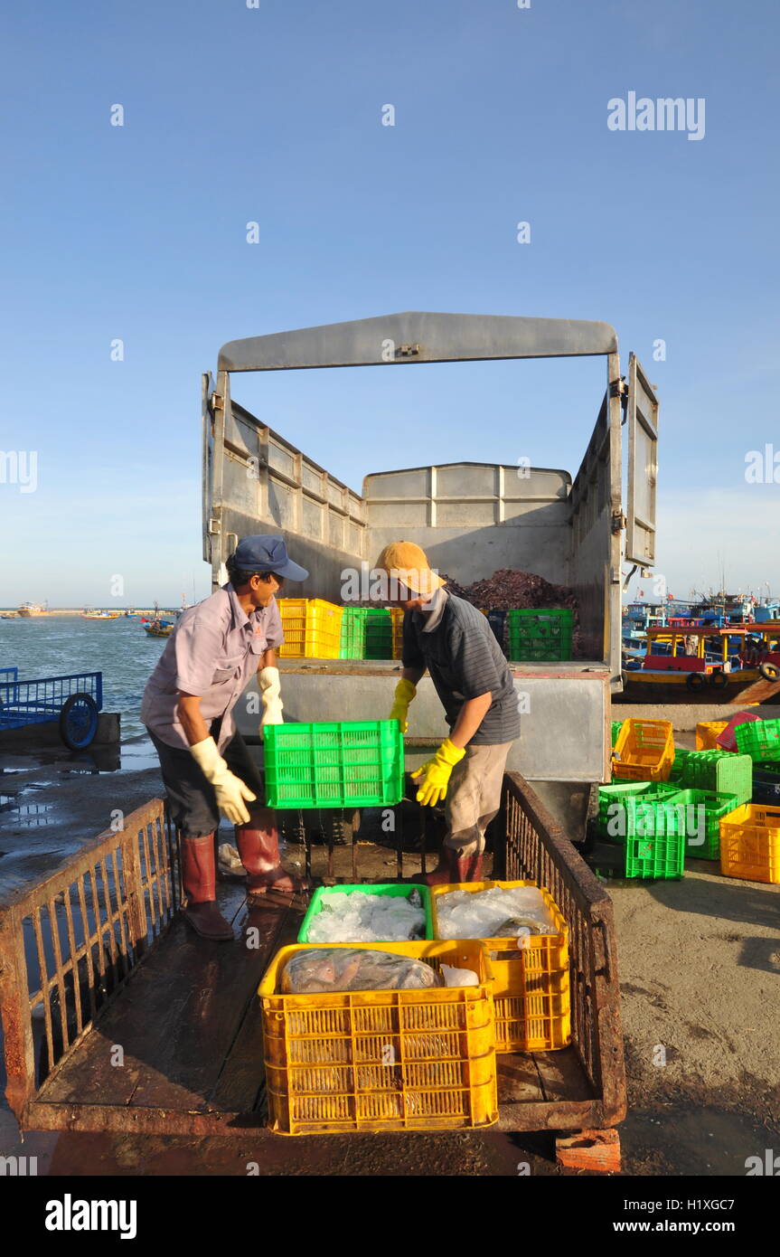 Truck loading fish hi-res stock photography and images - Alamy