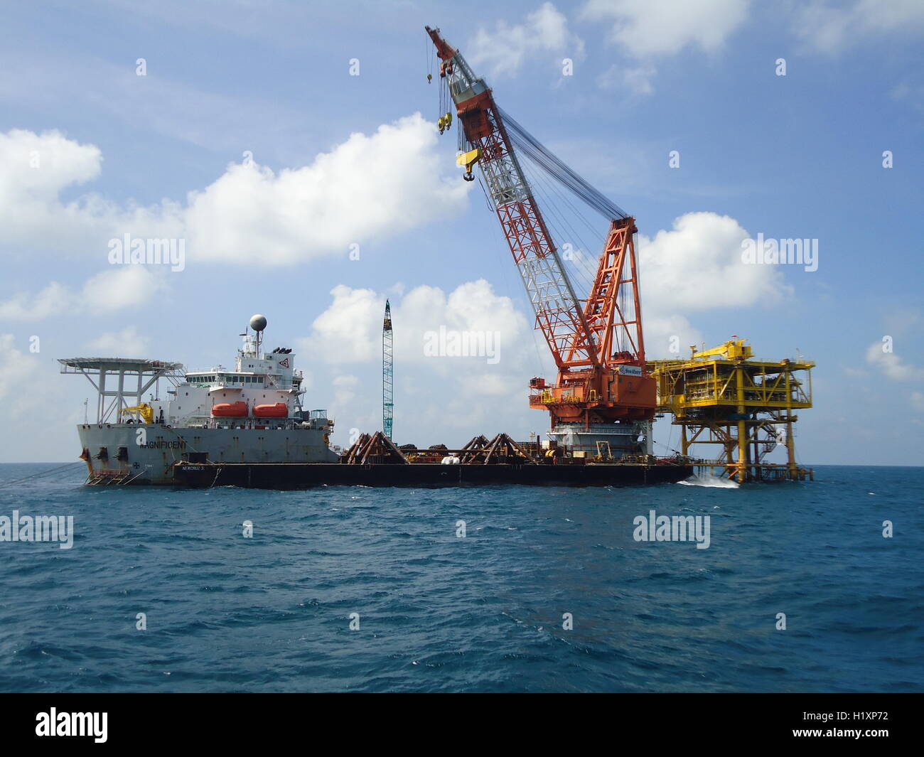 Fossil expert hi-res stock photography and images - Alamy