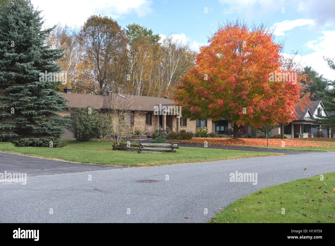 Maple house hi-res stock photography and images - Alamy