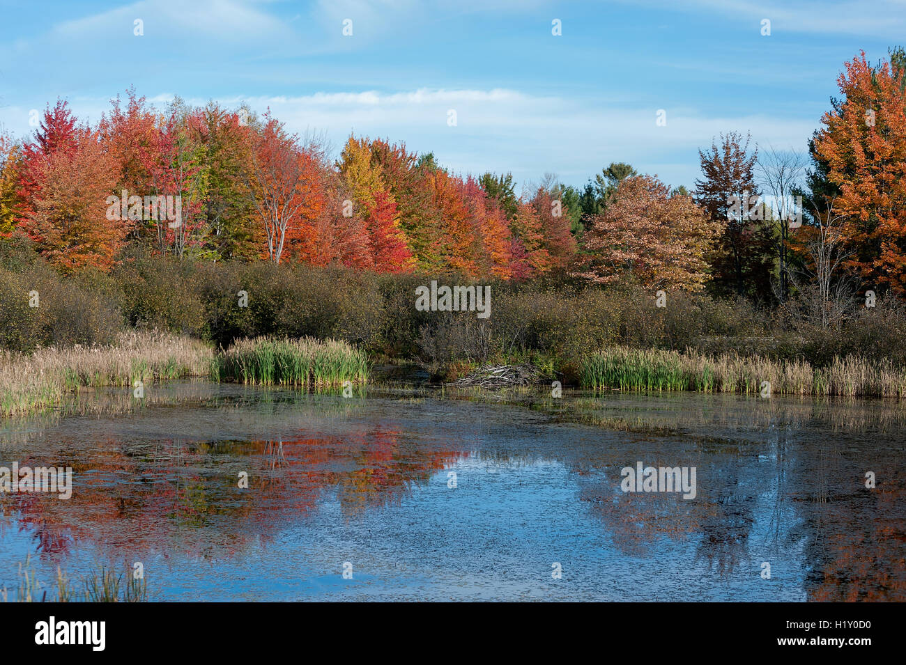 Splendid natural colors hi-res stock photography and images - Alamy