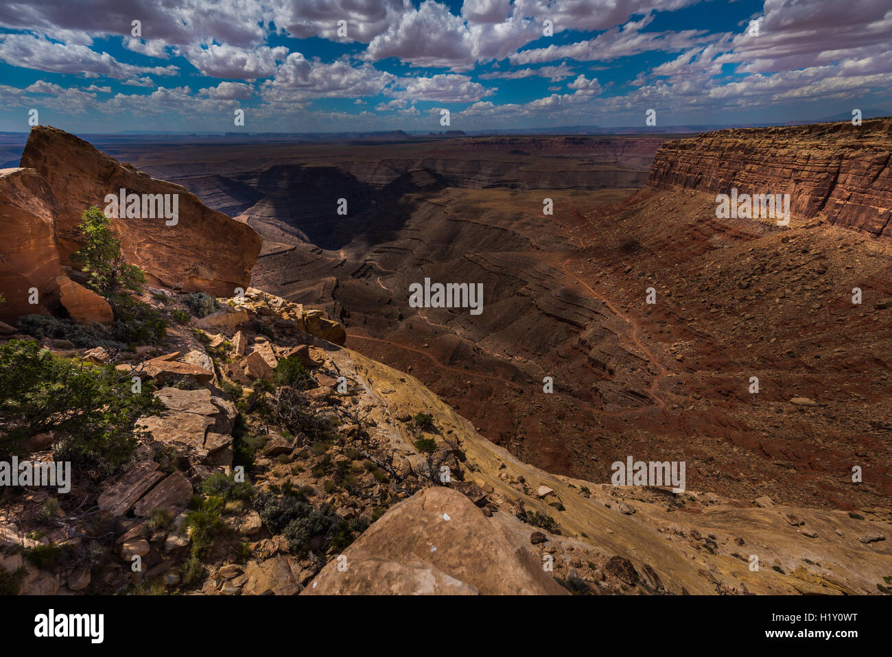 Muley Point Stock Photos & Muley Point Stock Images - Alamy