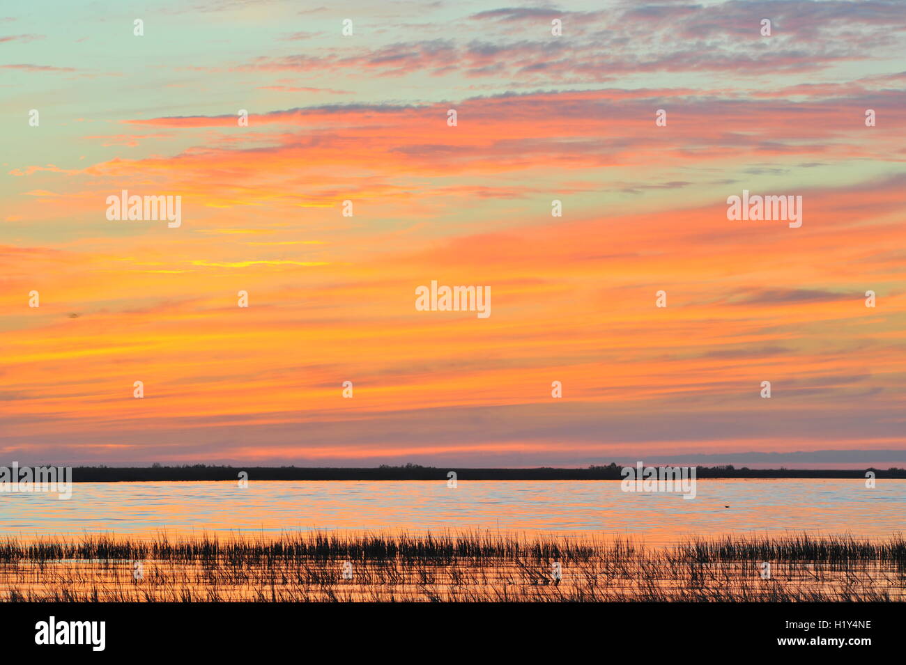 Sunset on the Volkhov river Stock Photo - Alamy