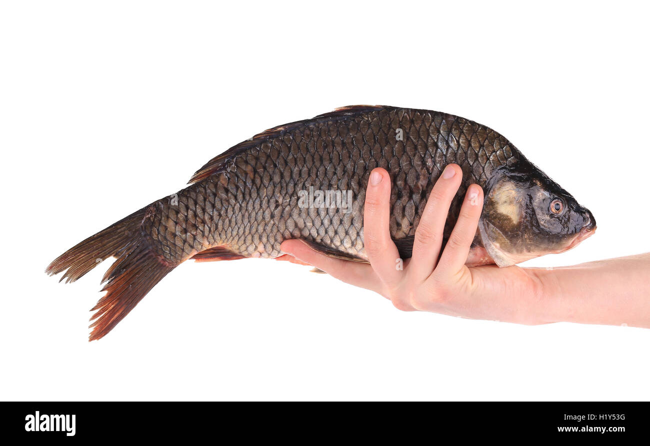 Man eating raw fish Cut Out Stock Images & Pictures - Alamy