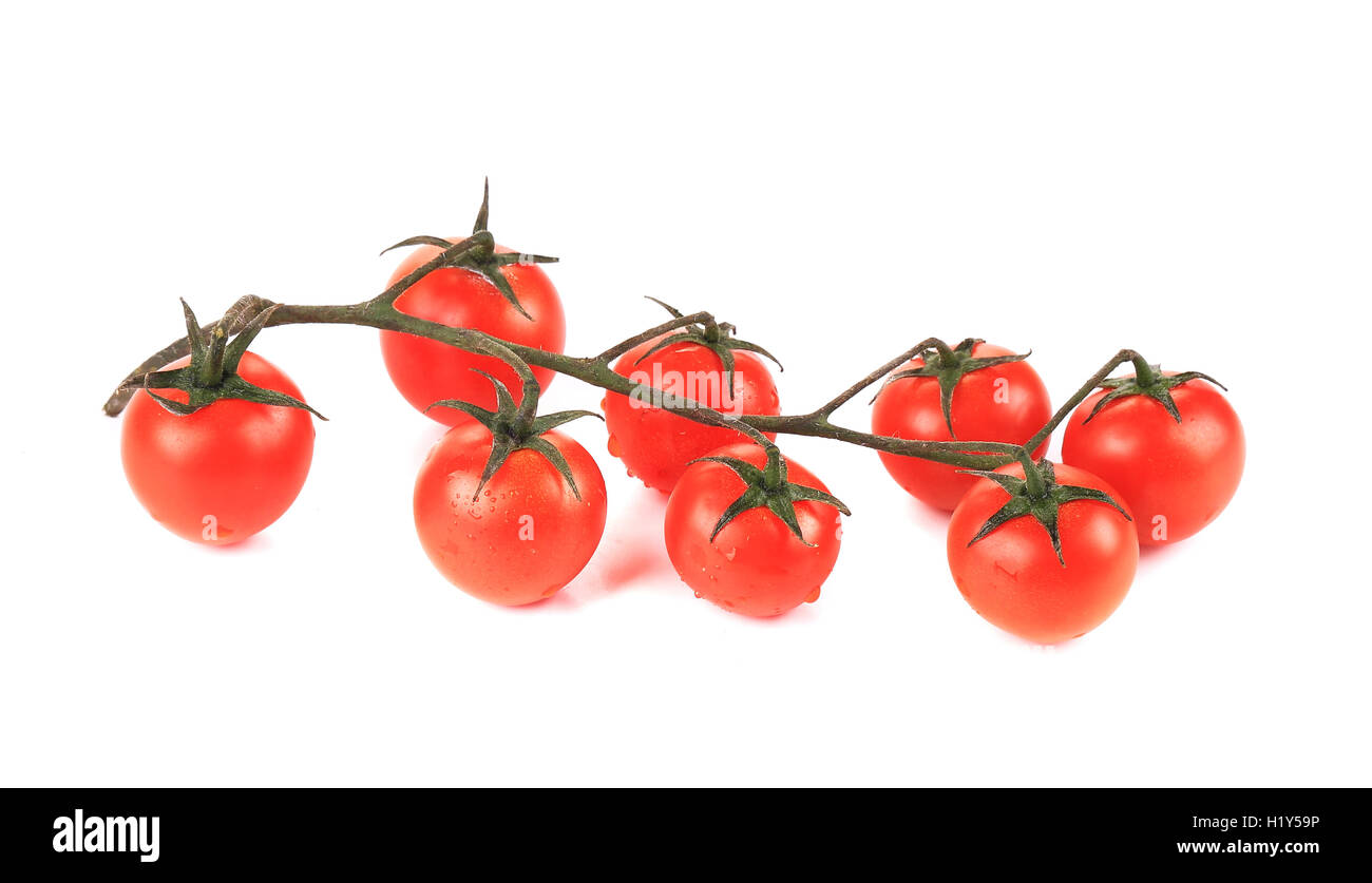 Cluster of Tomatoes Stock Photo - Alamy