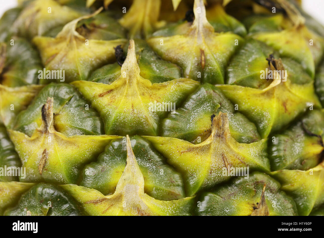 Background of pineapple skin. Macro Stock Photo - Alamy