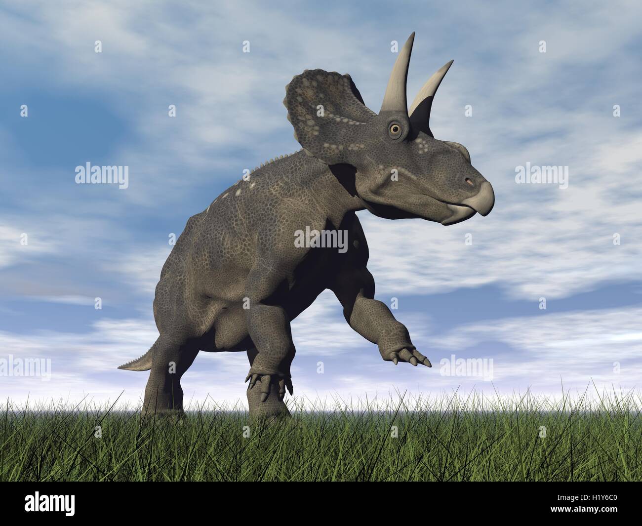 Diceratops