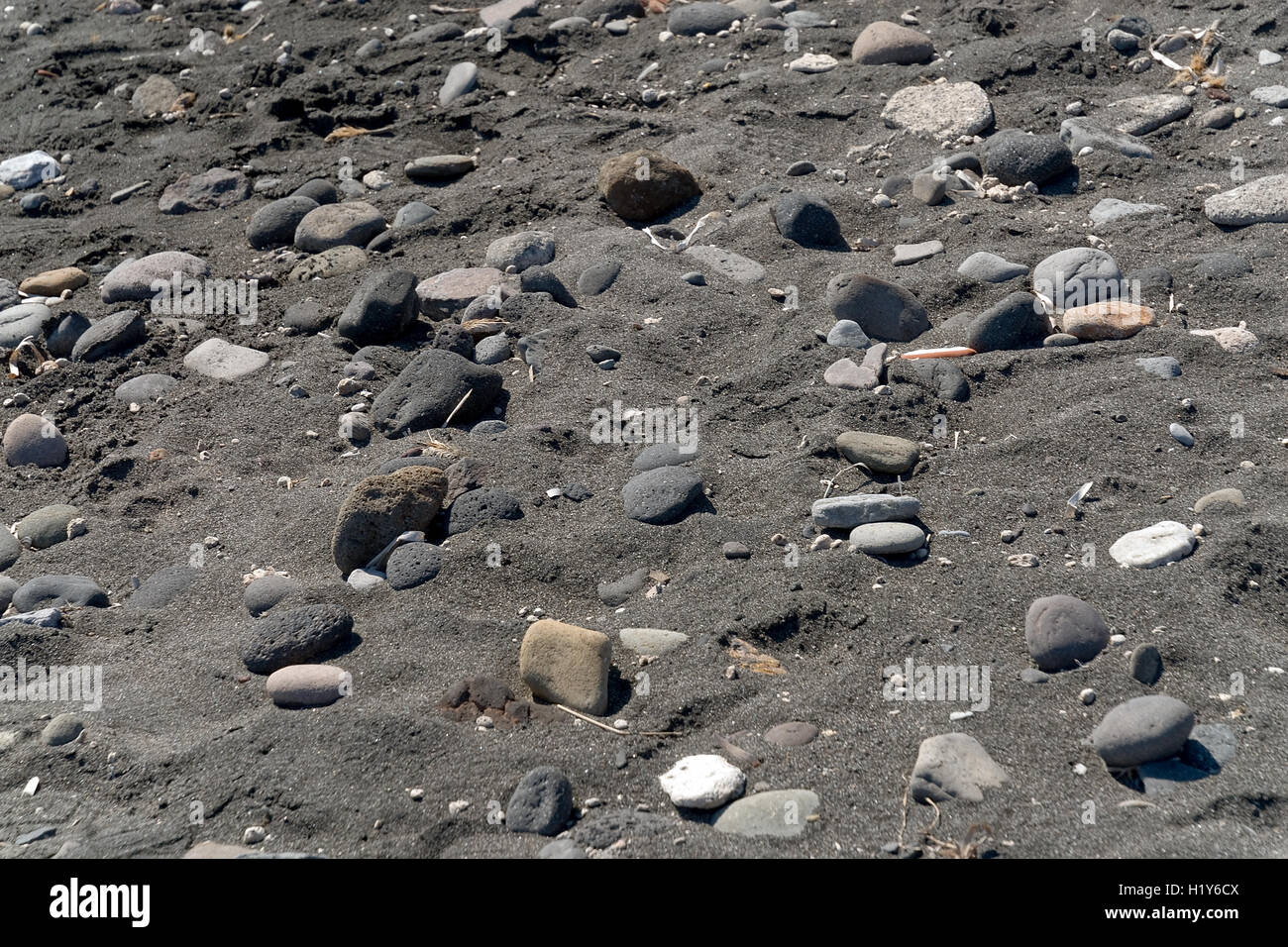 rocks in sand Stock Photo - Alamy
