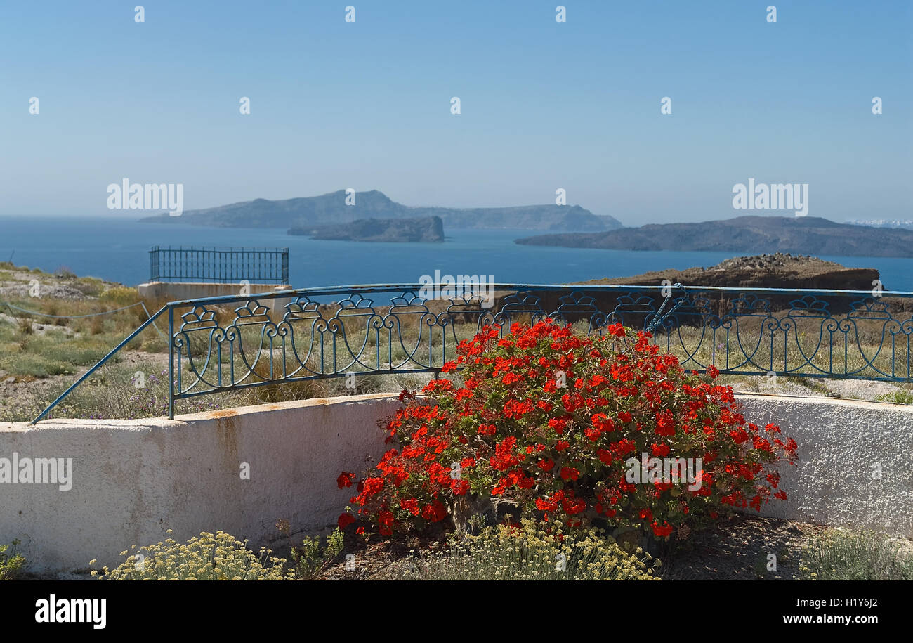 Red bush overlooking ocean and islands Stock Photo - Alamy