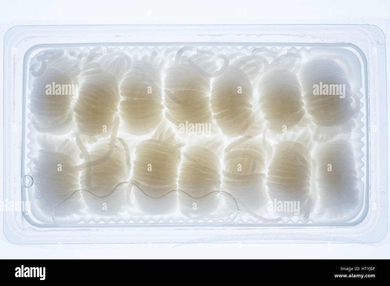 Preparation of konjac Stock Photo - Alamy