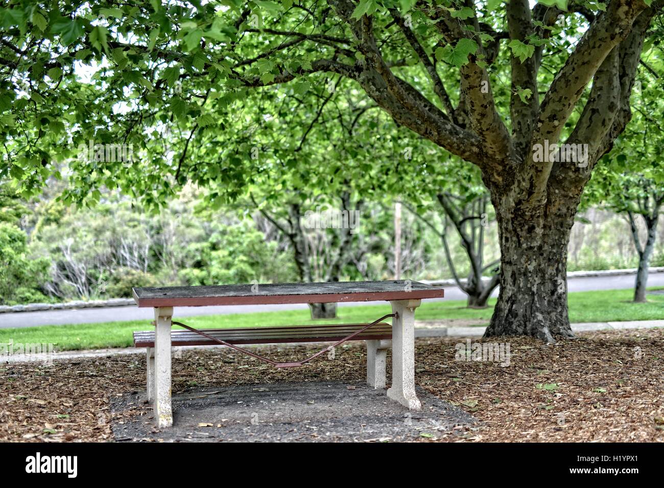 Table Chair Circular Not Man High Resolution Stock Photography and ...