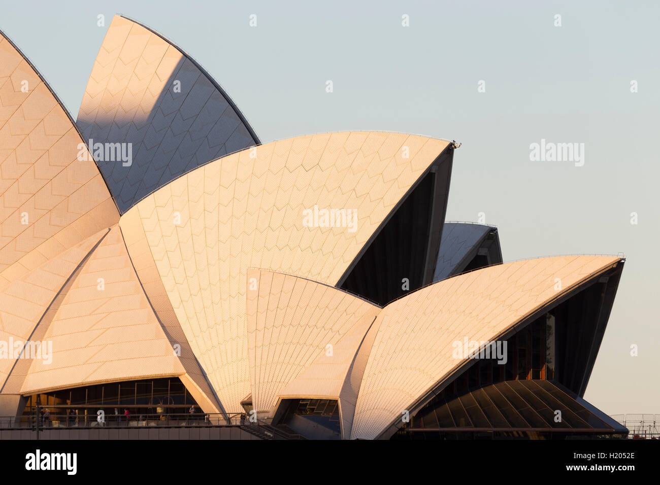 Close up of the sails of the Sydney Opera House Sydney Australia Stock ...