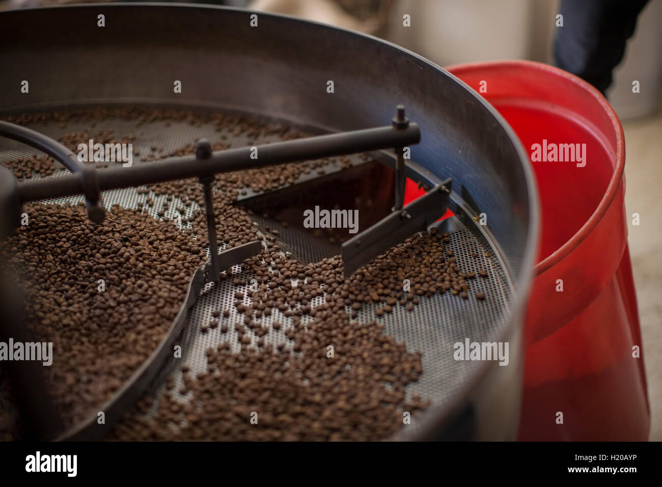 Roasted coffee beans in cooling cylinder Stock Photo - Alamy