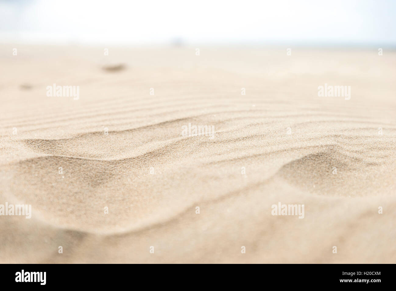 Fine sand on the beach Stock Photo - Alamy