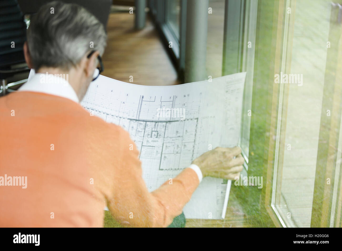 Back view of man looking at construction plan Stock Photo - Alamy