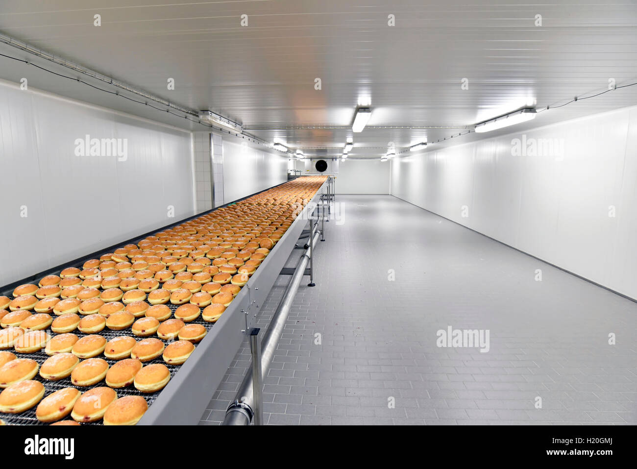 Production line in a baking factory with Berliners Stock Photo - Alamy