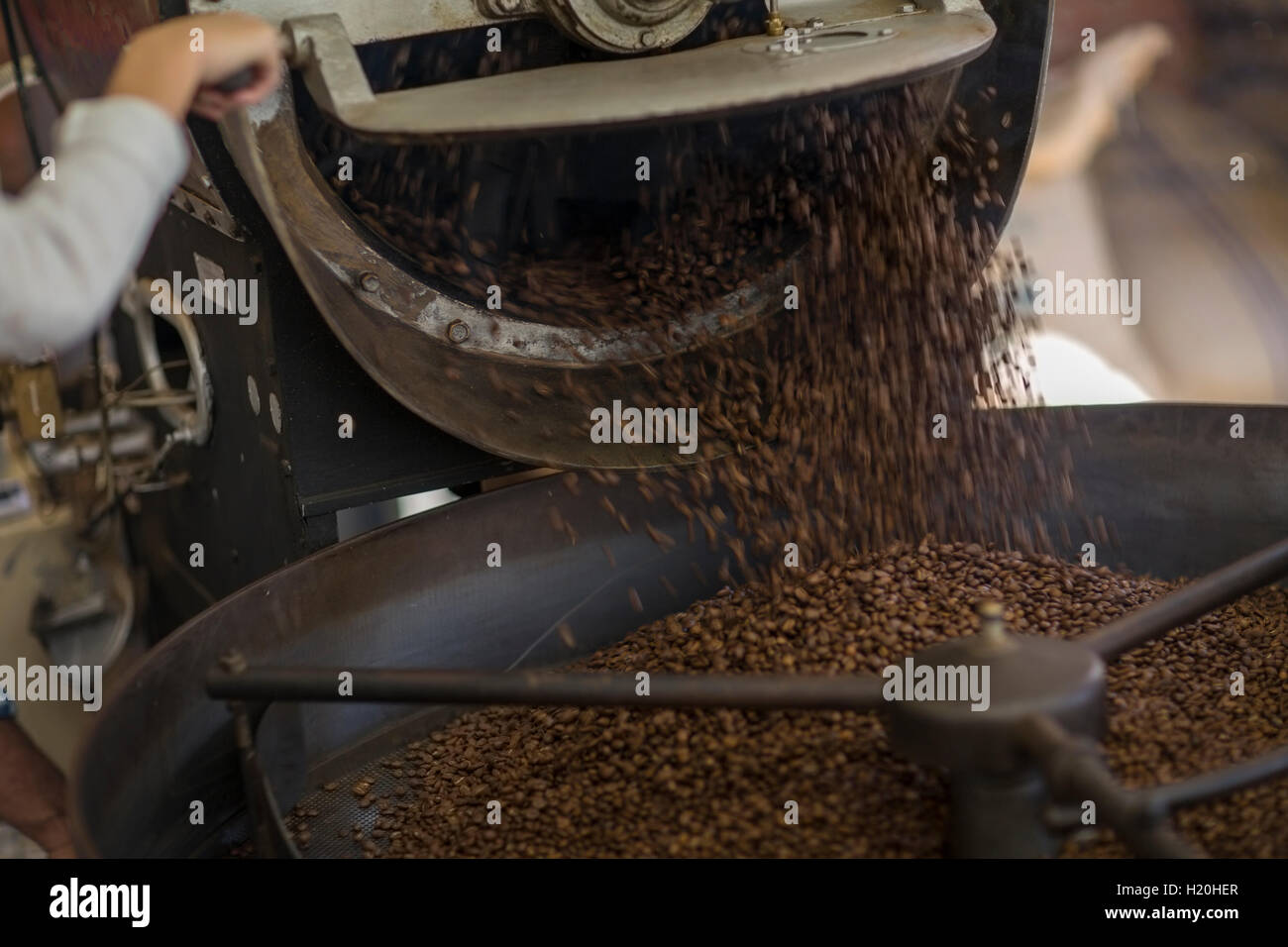 Coffee beans being poured in cooling cylinder Stock Photo - Alamy