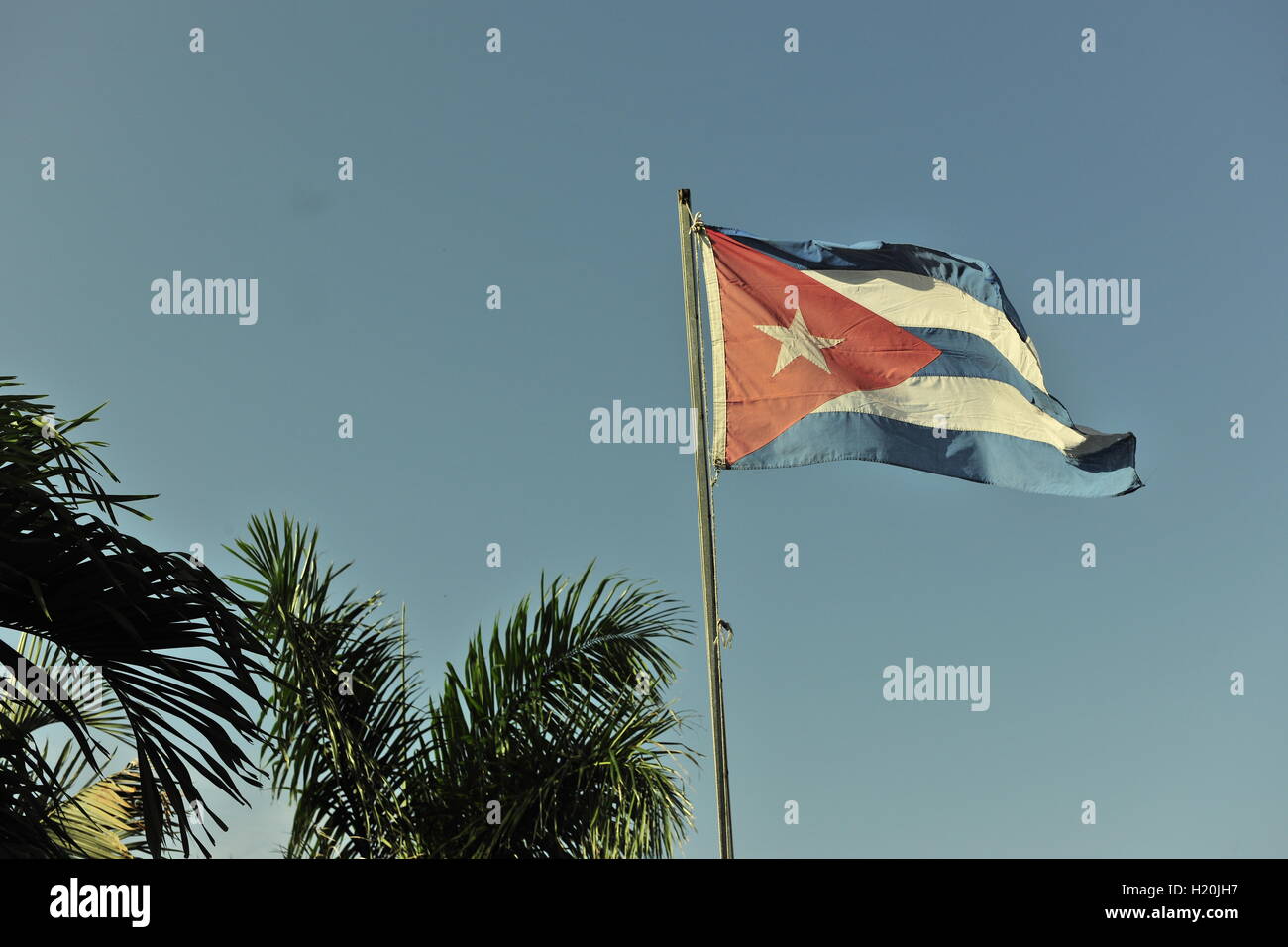 The Cuban flag Stock Photo - Alamy