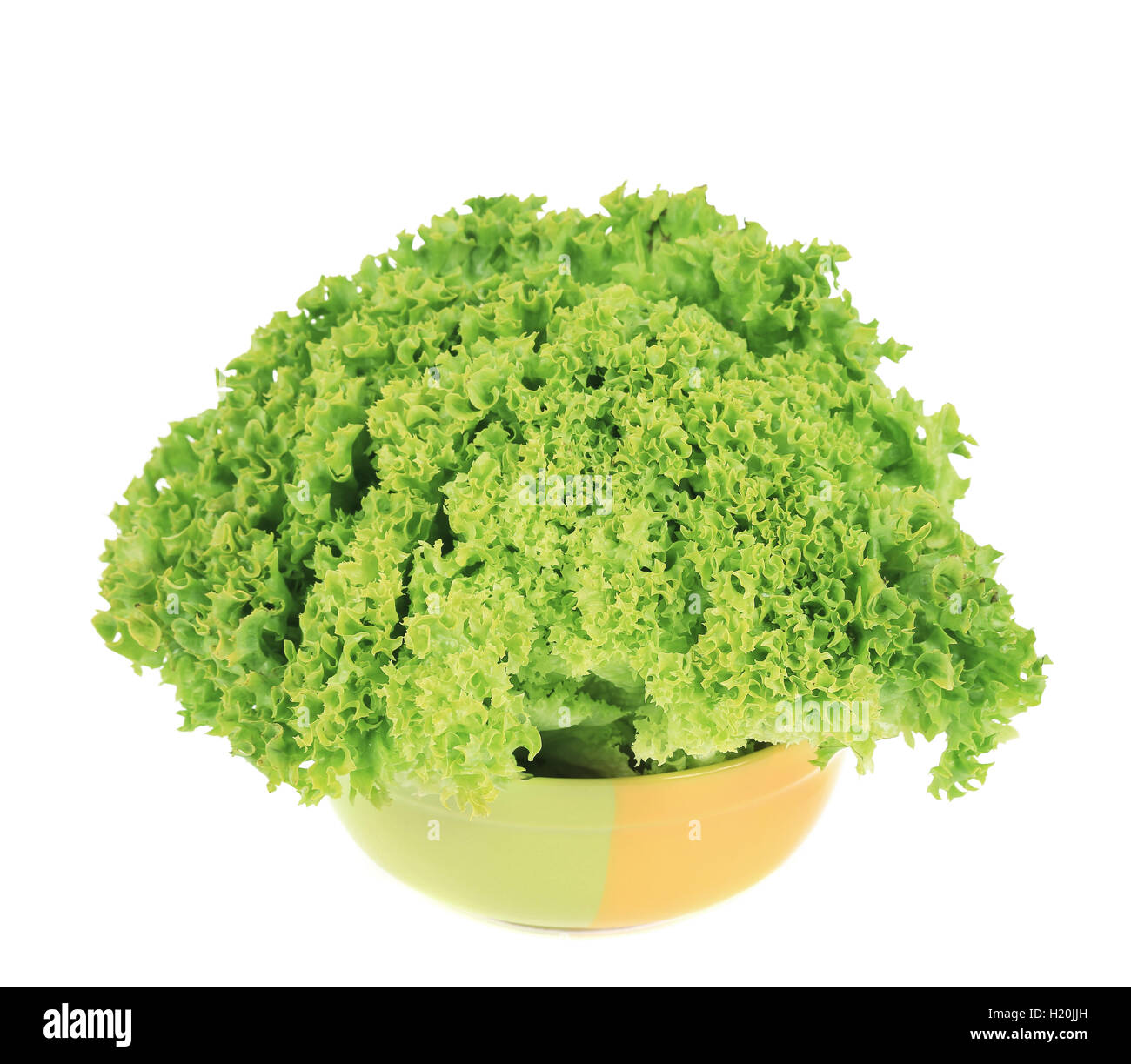Fresh lettuce in bowl Stock Photo - Alamy