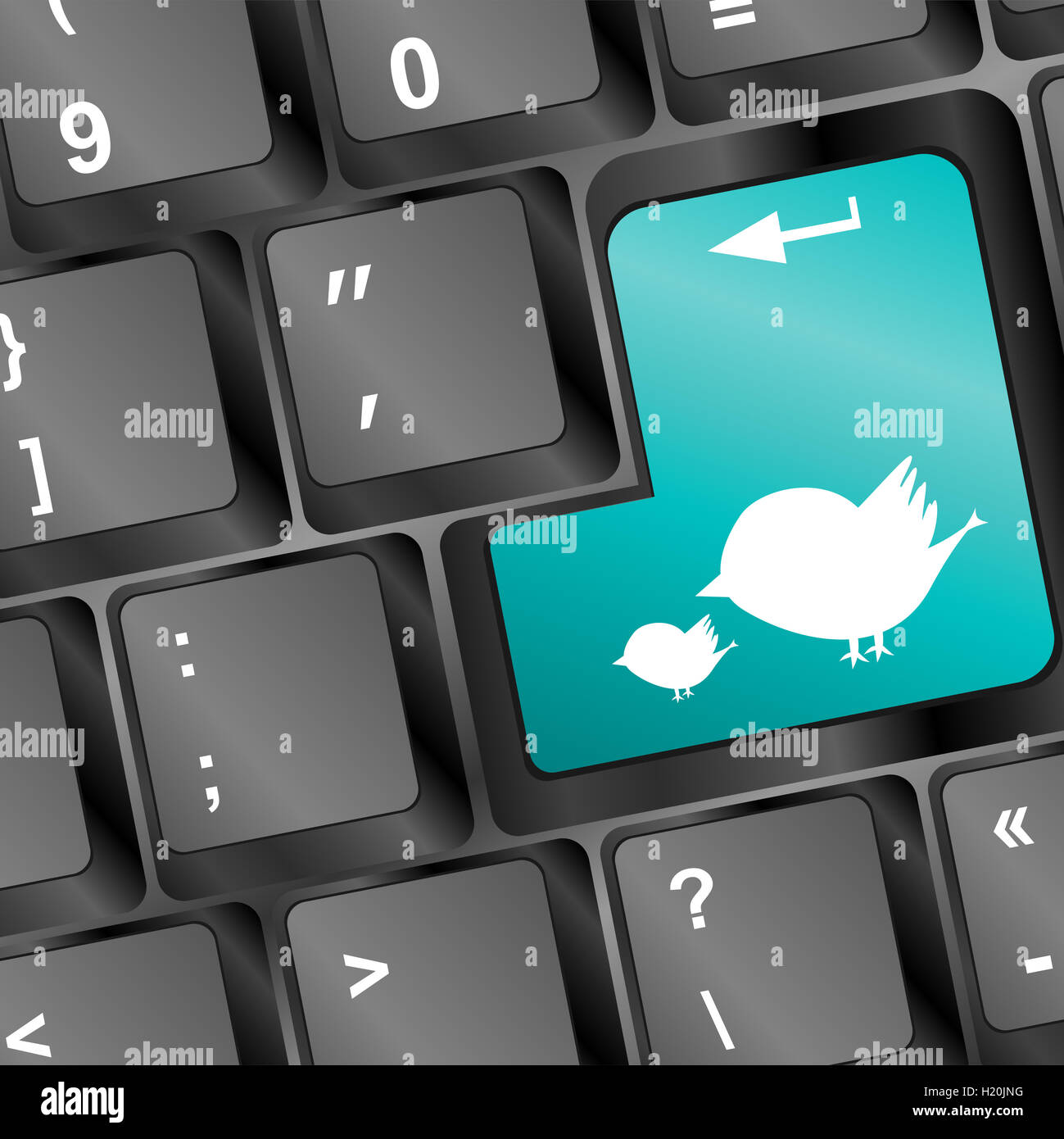 Button keyboard key, keypad with bird family closeup Stock Photo - Alamy