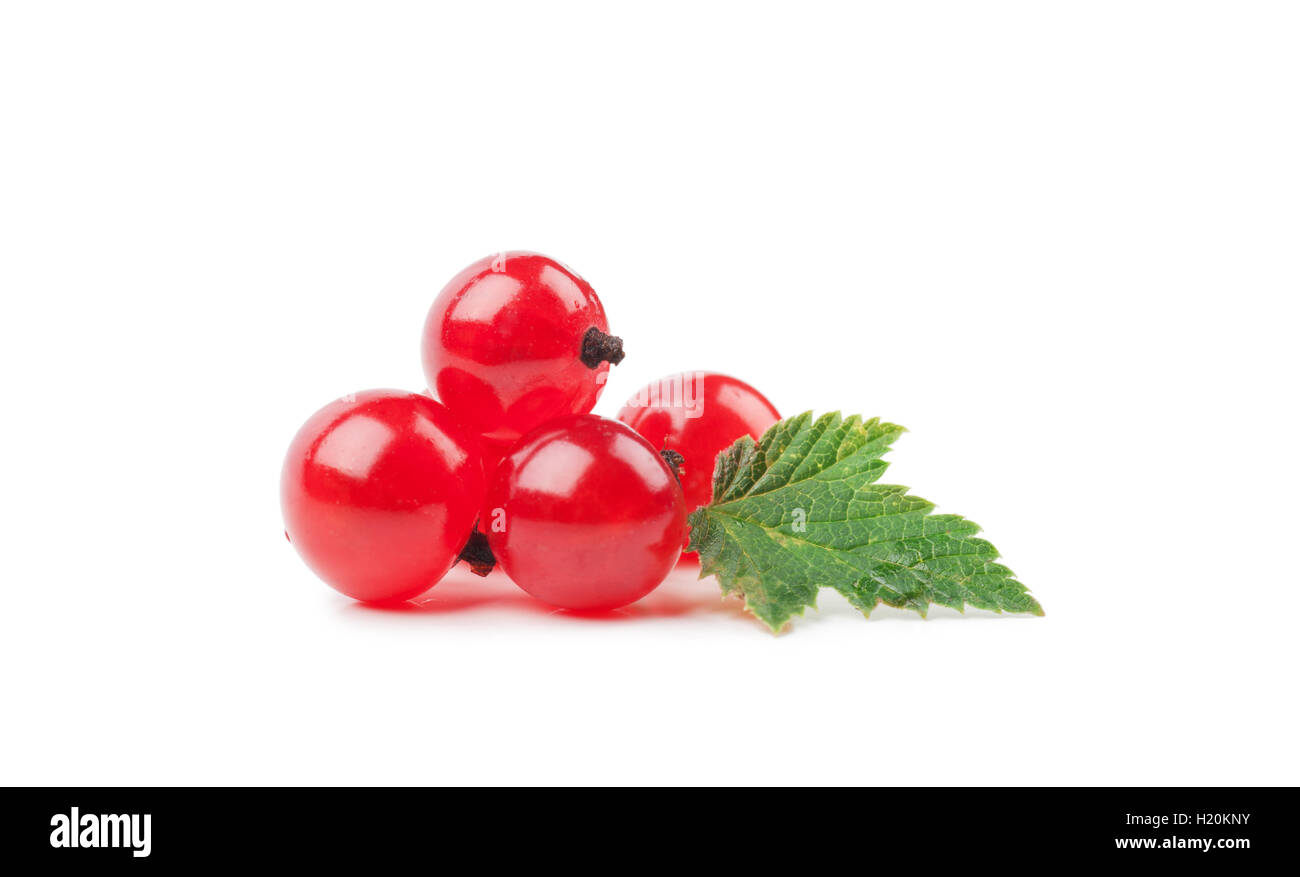 Red white currant sour Cut Out Stock Images & Pictures - Alamy